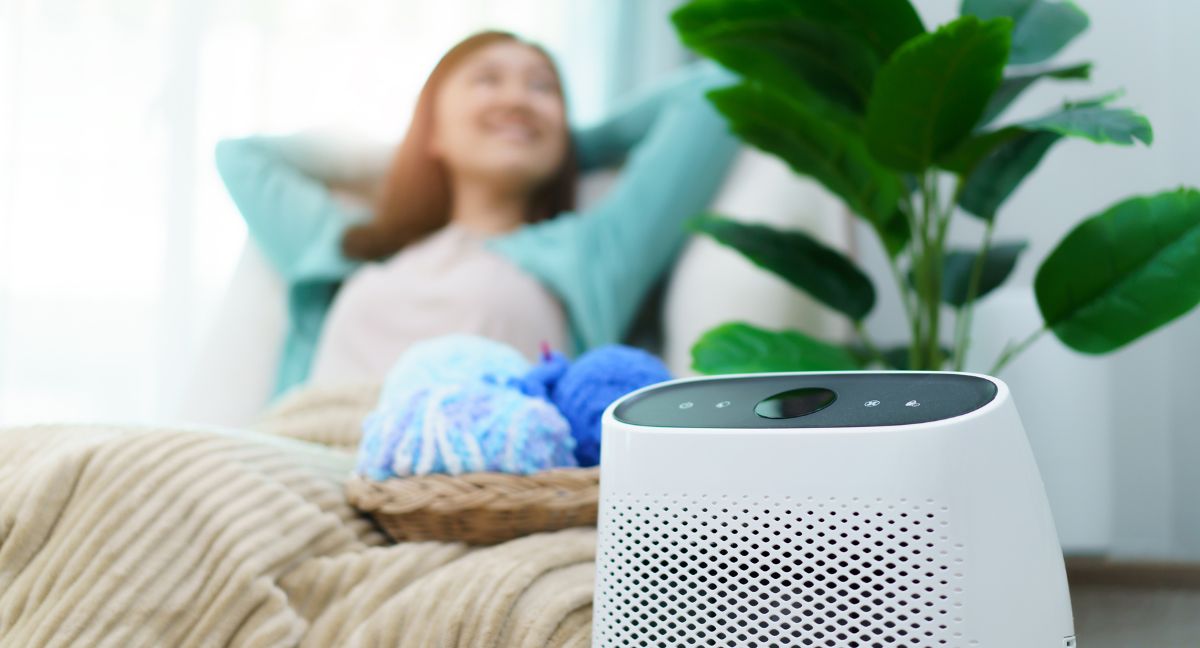 The 5 Best Quiet Air Purifiers For Pets (2025) Tested & Reviewed