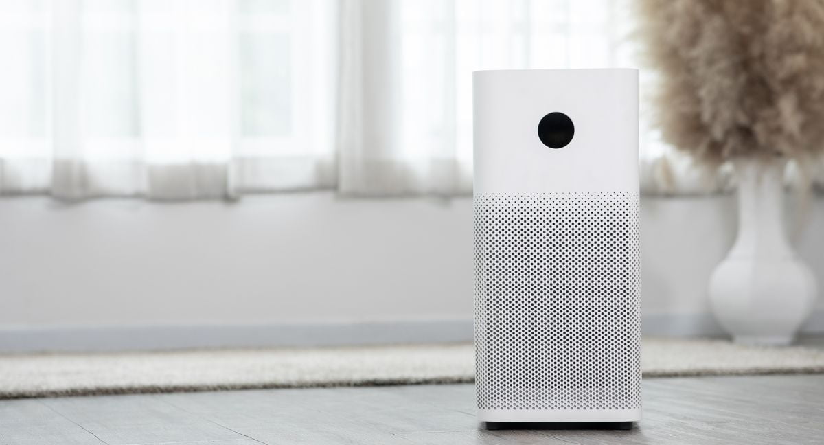 The 5 Best Quiet Air Purifiers For Pets (2025) Tested & Reviewed